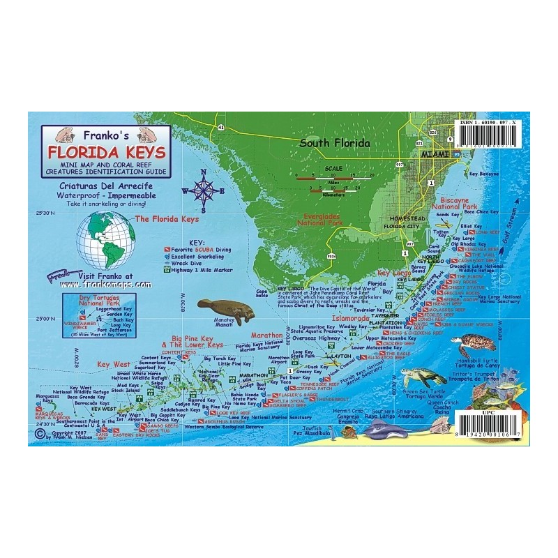 Florida Keys Reef Creatures 6"x9" Fish ID Card LAMINATED